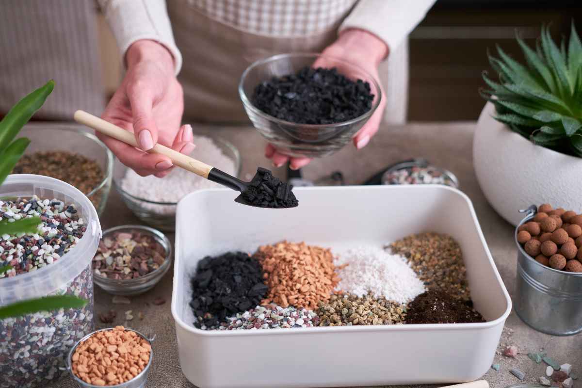 Substrato para plantas: um guia completo